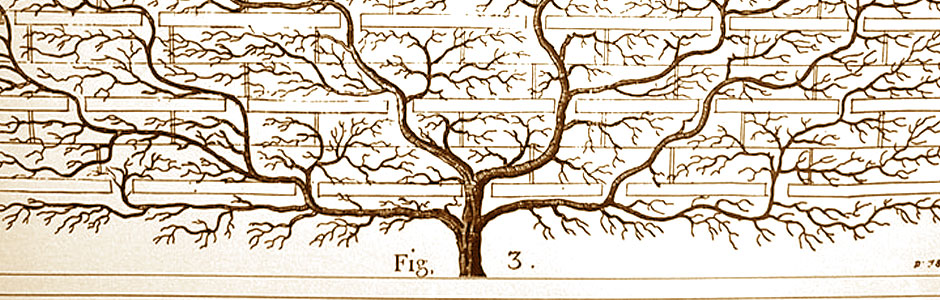 familytree - Center for Literary Publishing | Colorado State University
