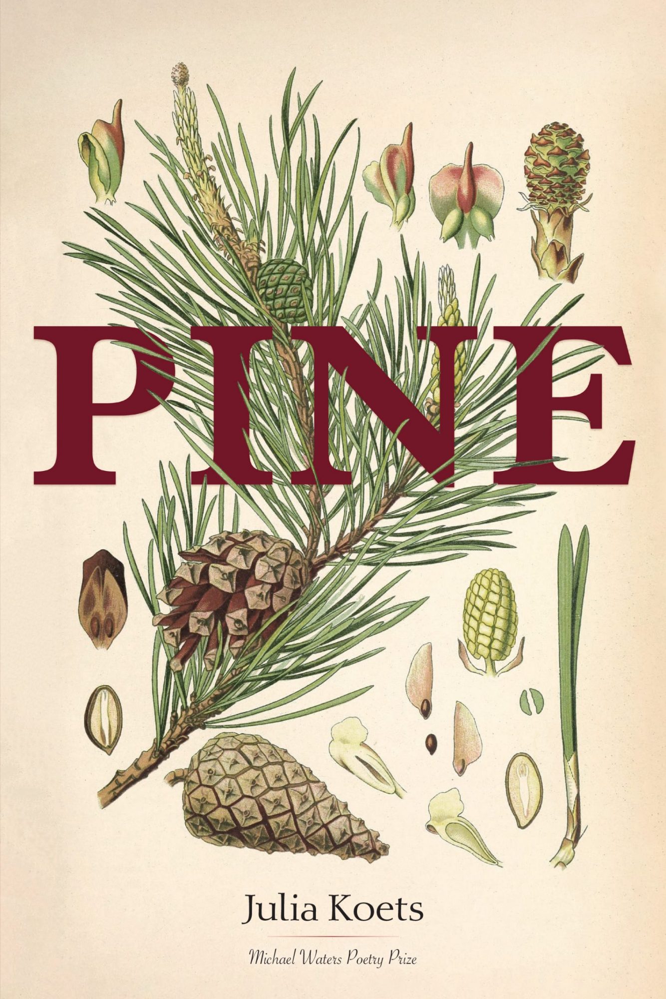 Pine - Center for Literary Publishing