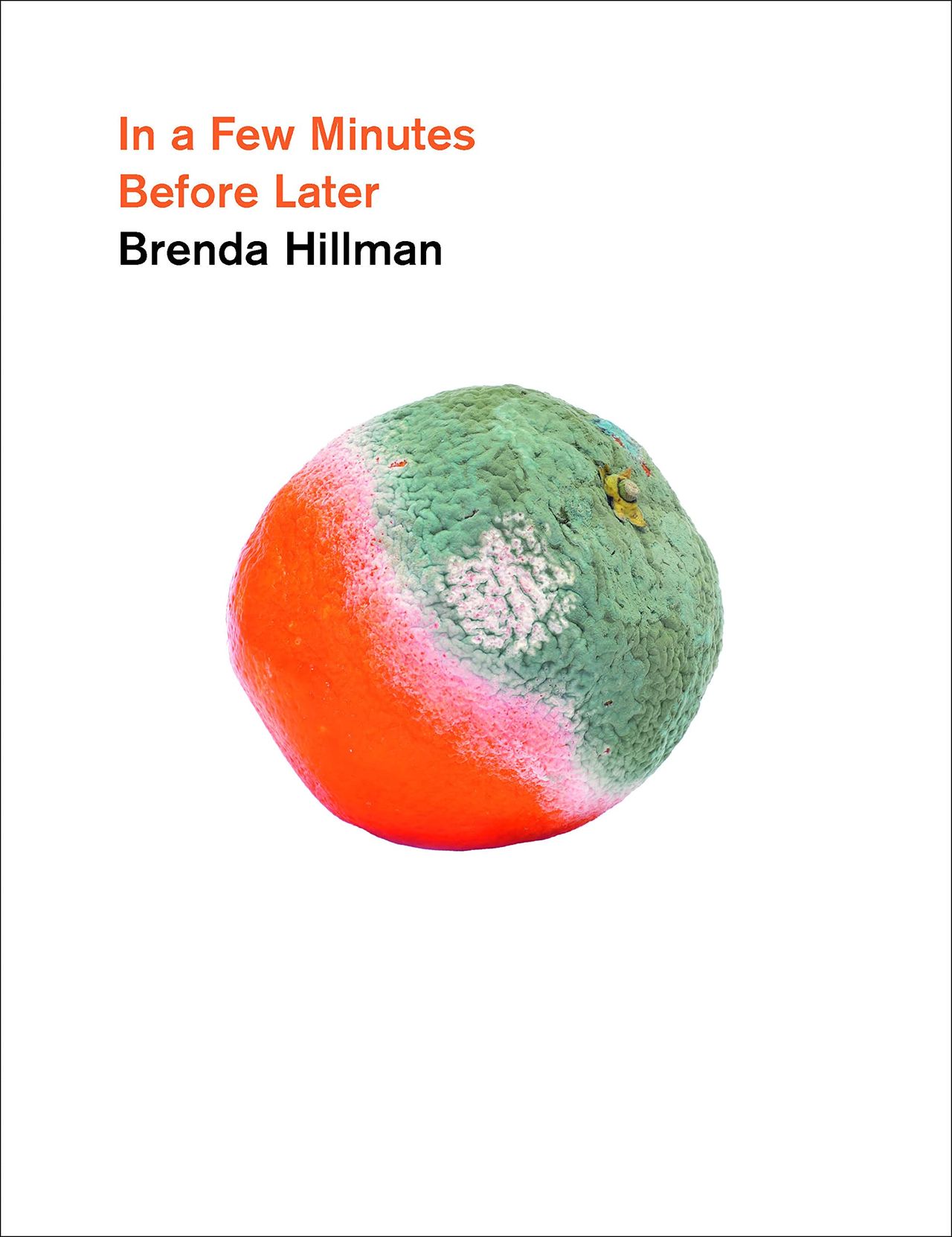 In a Few Minutes Before Later - Center for Literary Publishing