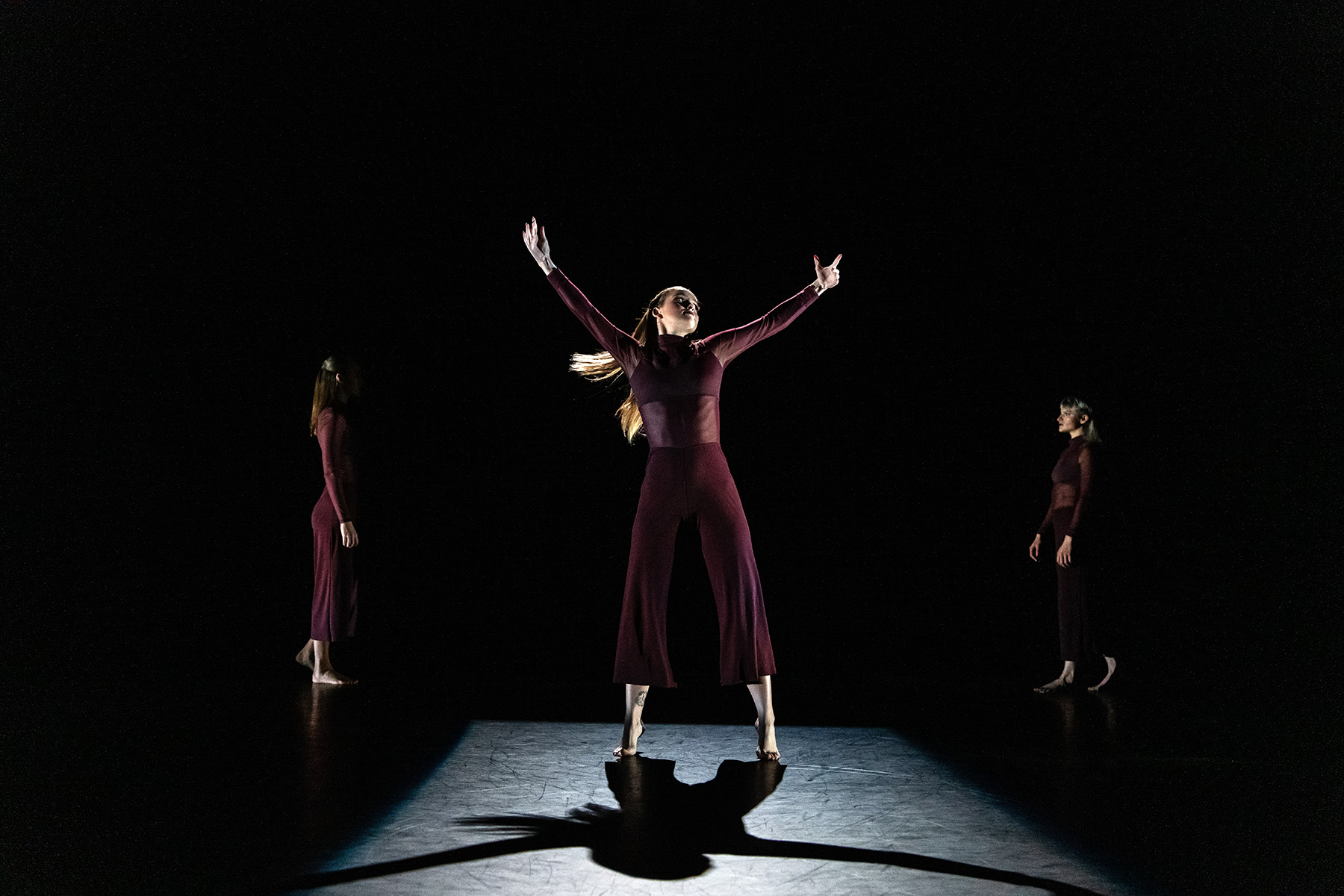 B.F.A. in Dance – Dance Education Concentration
