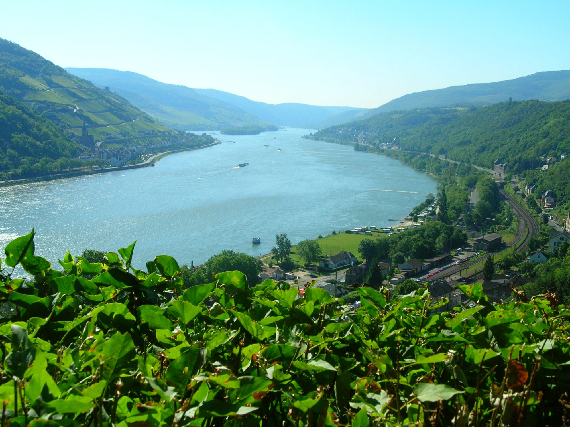E-RuthSmeeding-RhineRiver-Germany - International Studies | Colorado ...