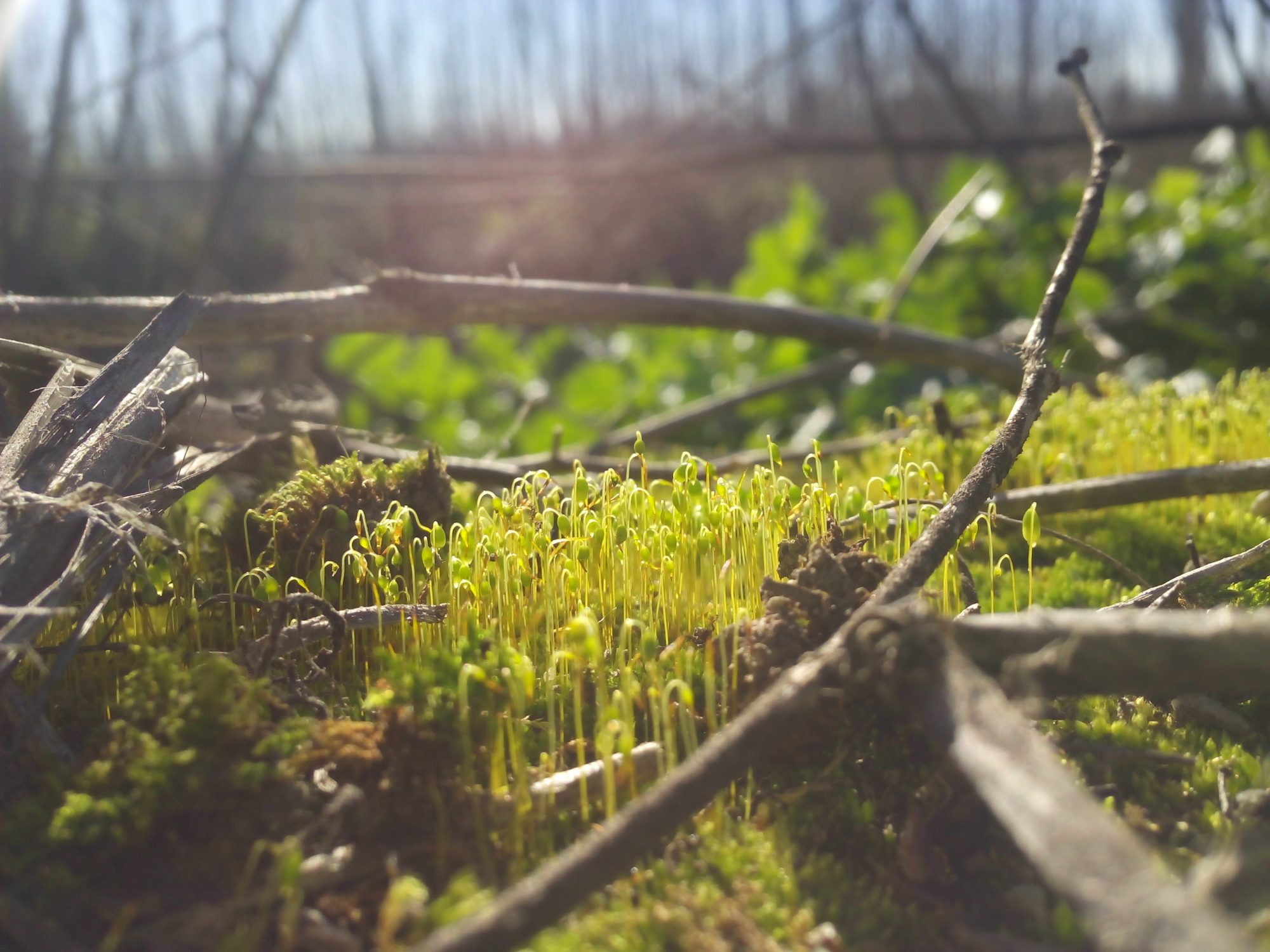 Environment and Natural Resources - College of Liberal Arts