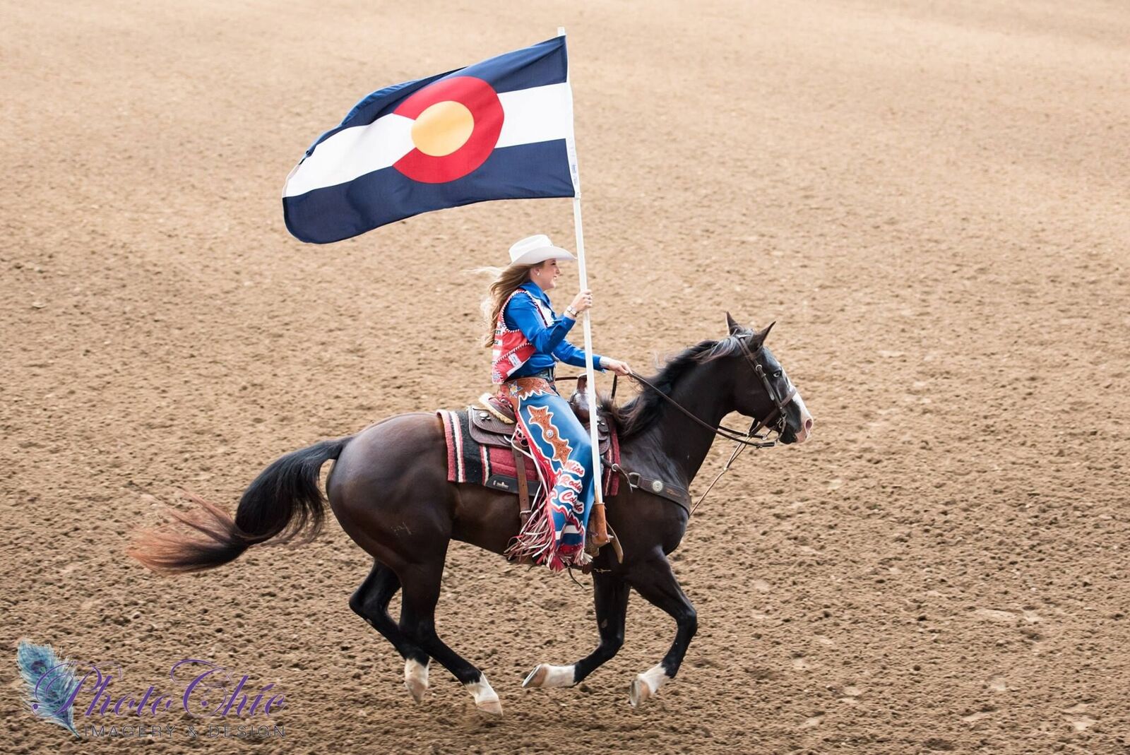 Rodeo Horse Flag