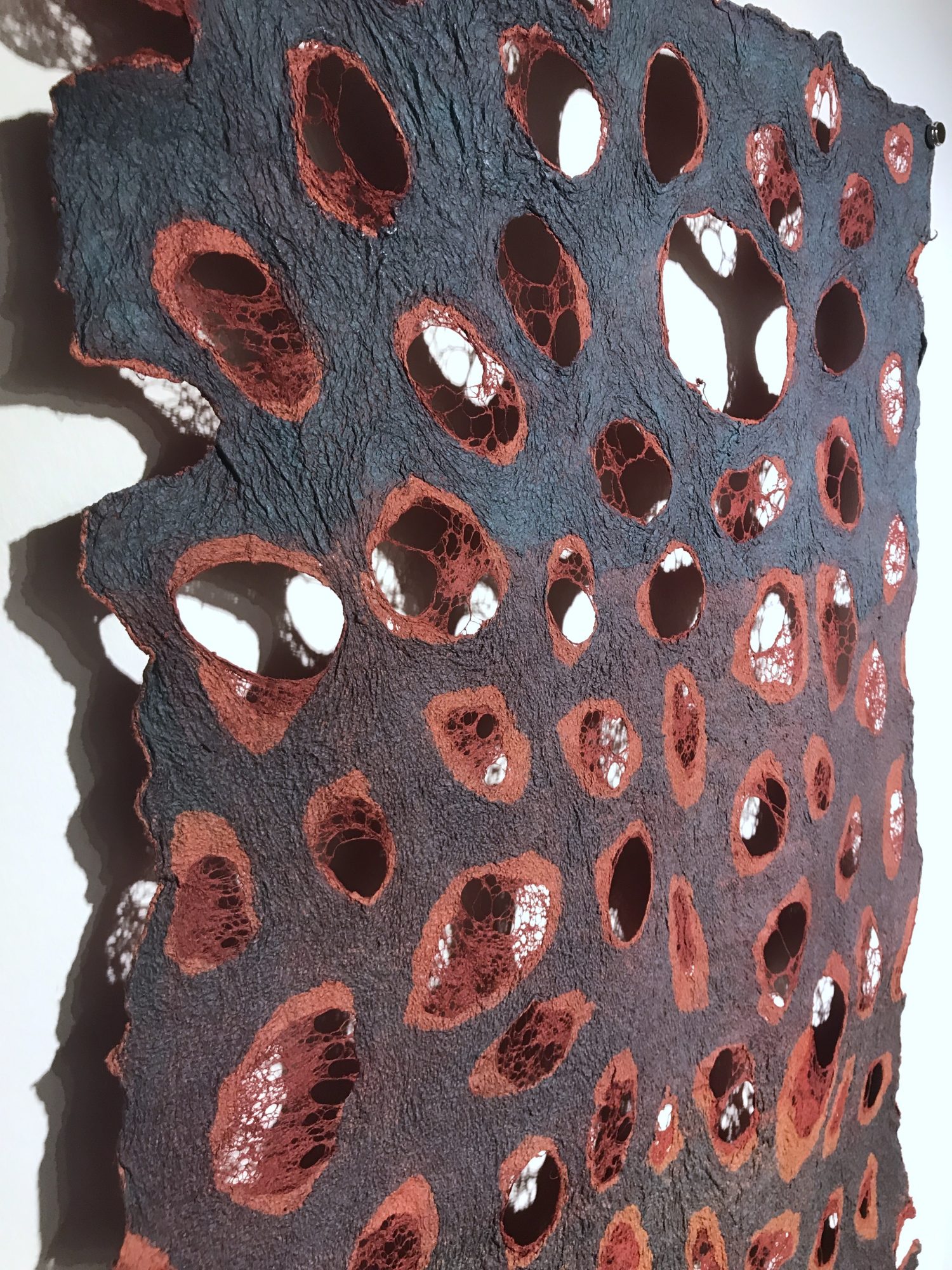 Trypophobia - College of Liberal Arts