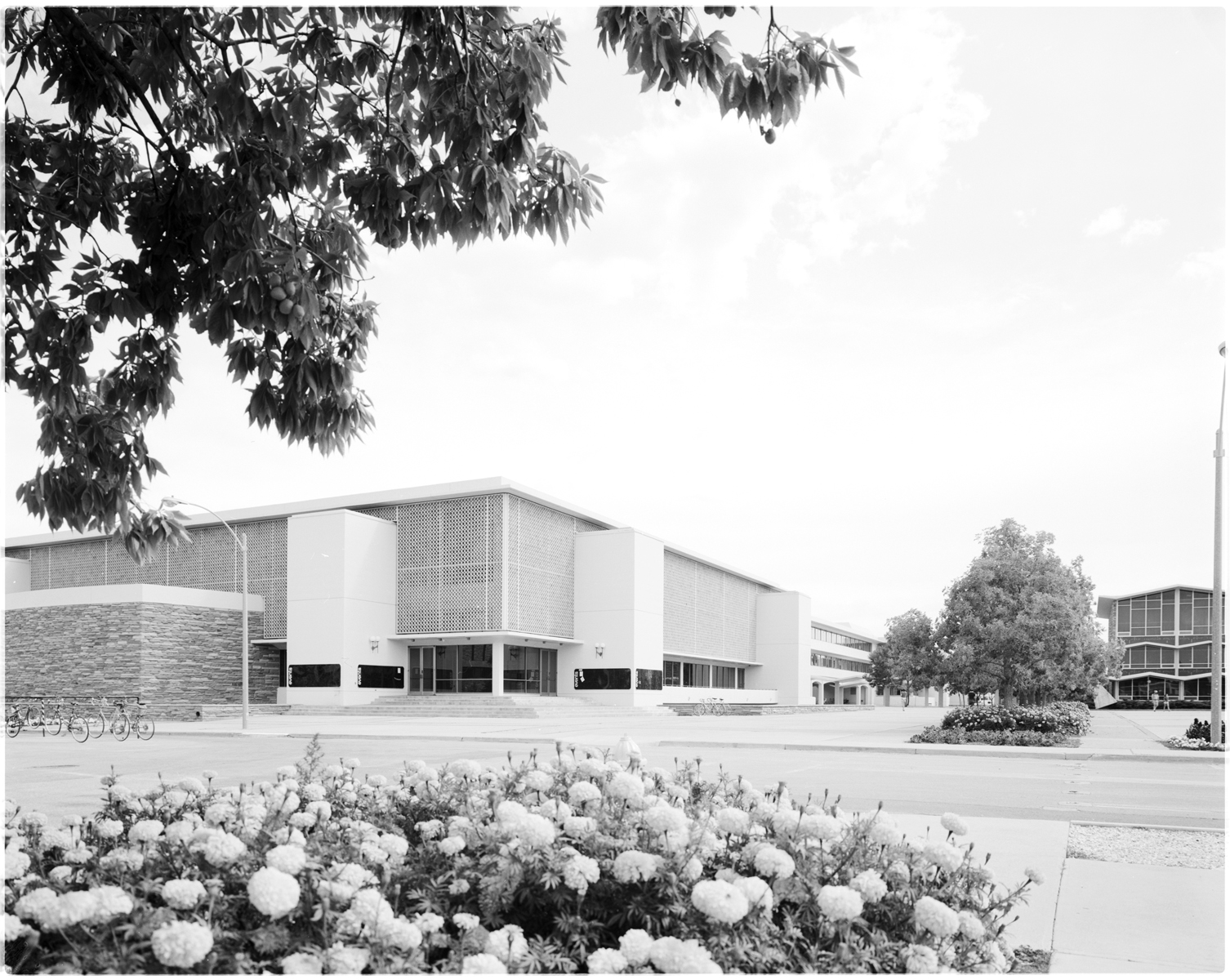 History of the CSU College of Liberal Arts - College of Liberal Arts ...